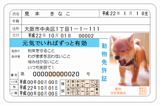 Yusuke Japan Blog: Each Japanese driver’s license has a color which you ...